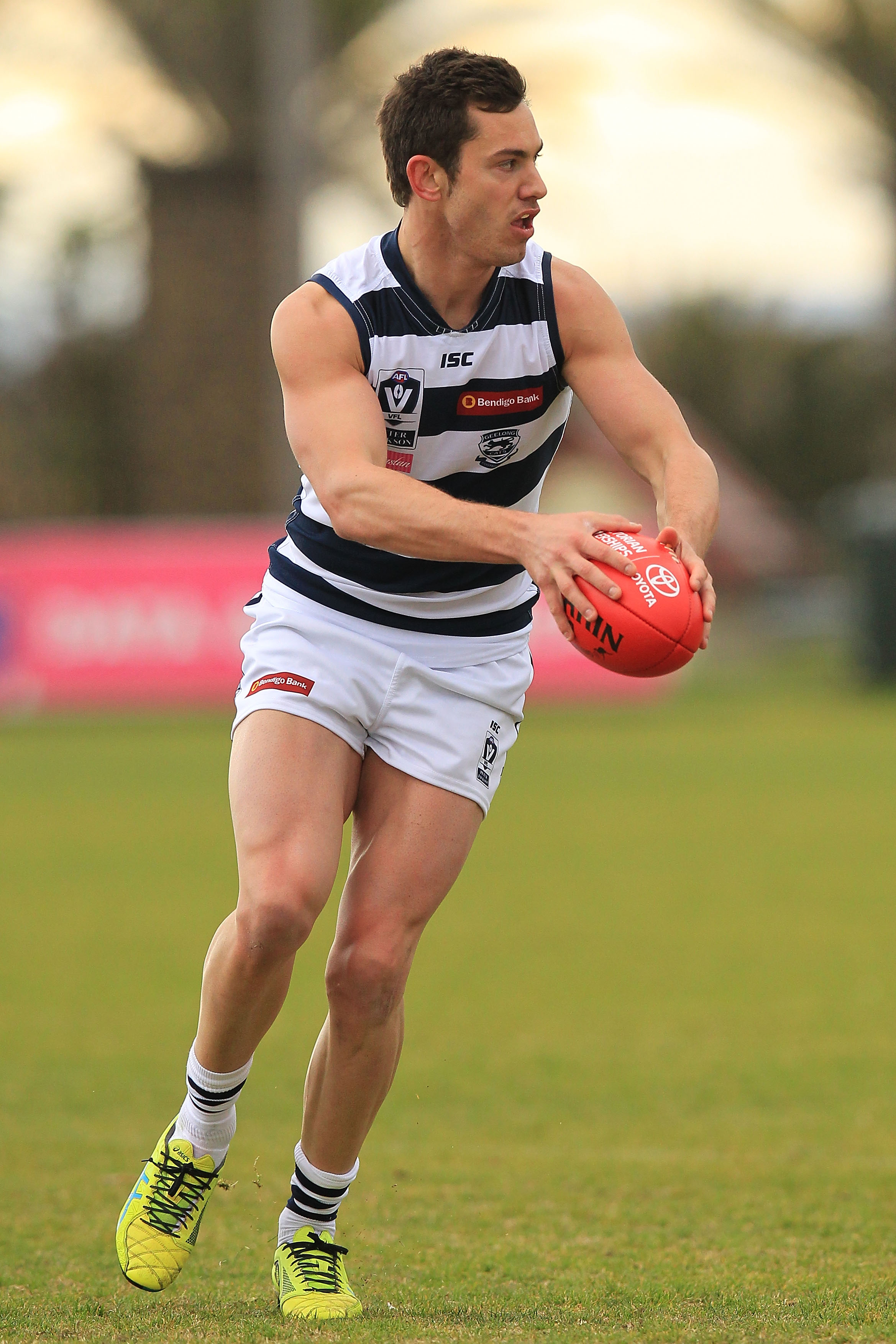 Cats' VFL fixture revealed