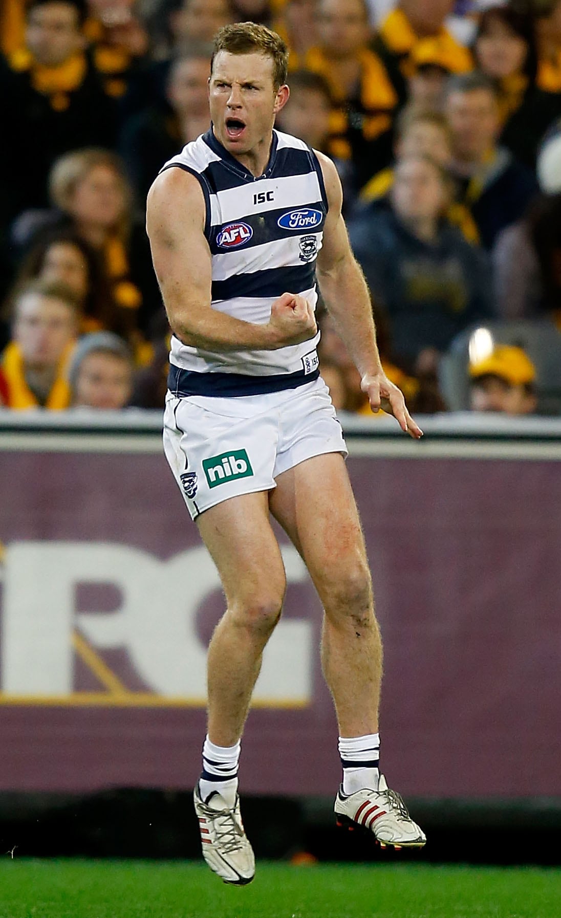 2013 reviews: Johnson, Murdoch, Duncan