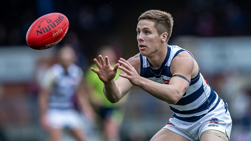 VFL: Cockatoo and Fogarty named to return