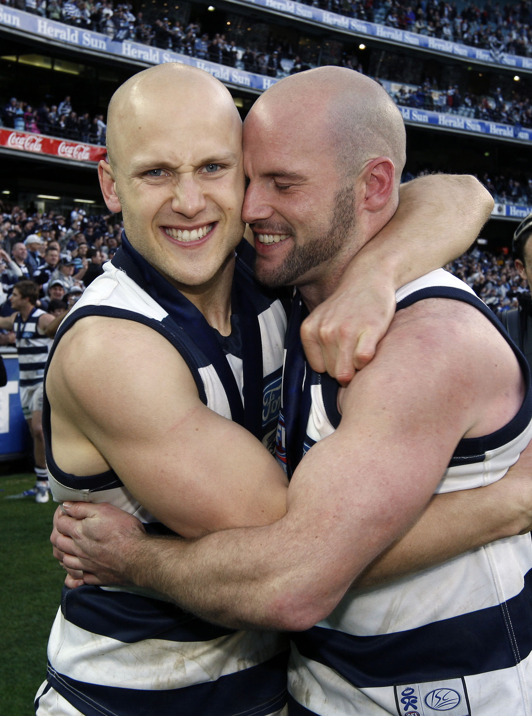 Ablett welcome at the Cattery: Scott