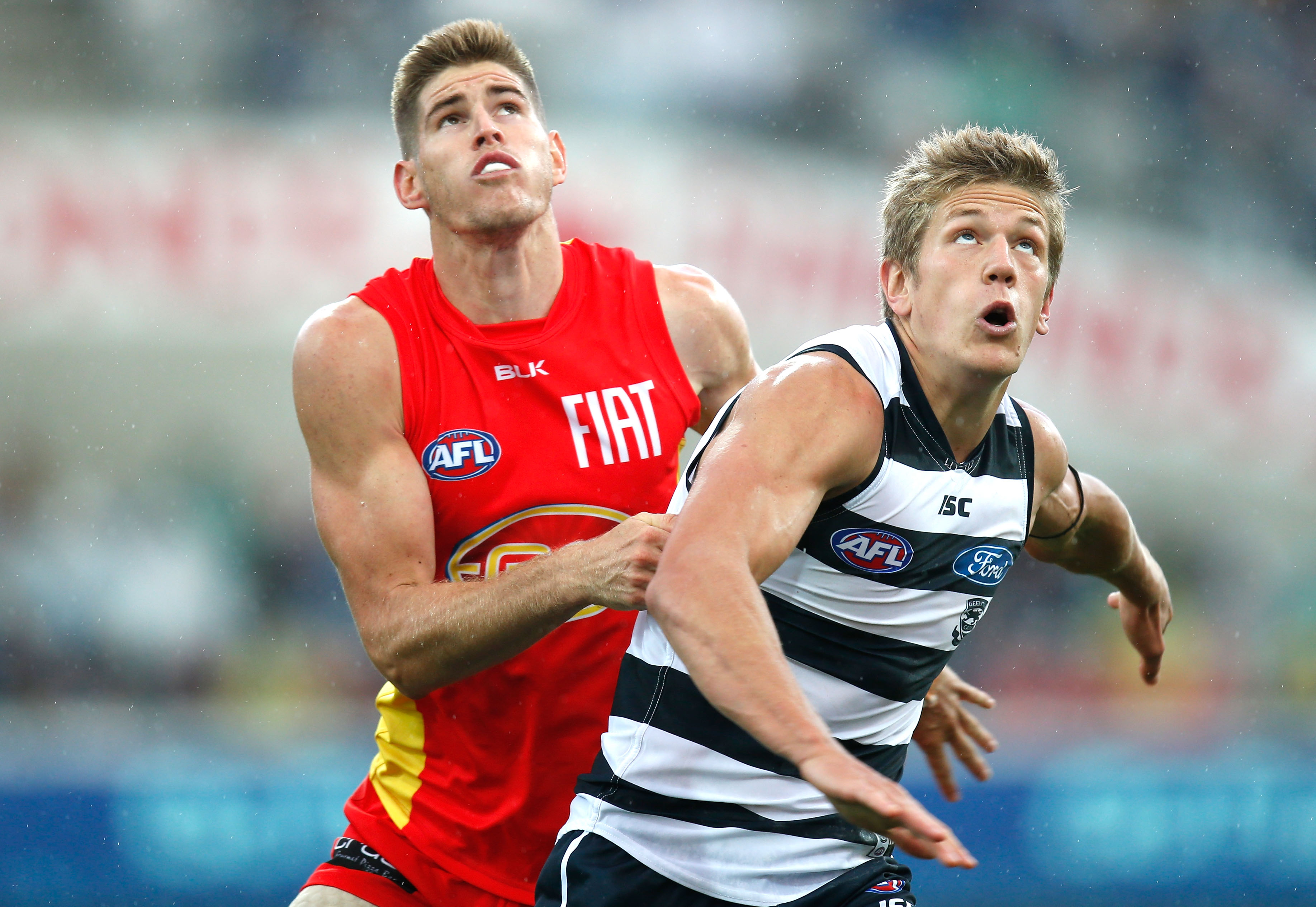 Suns big man wants to join Cats