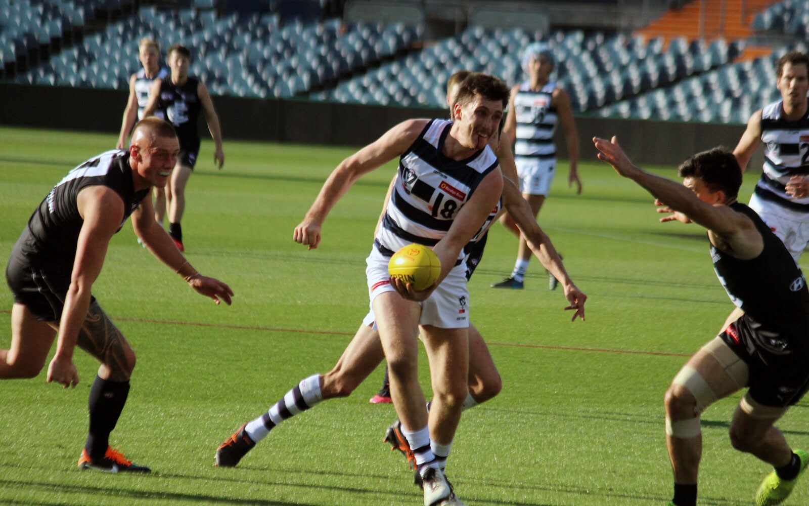 Non-playing Cats have Blues hit out