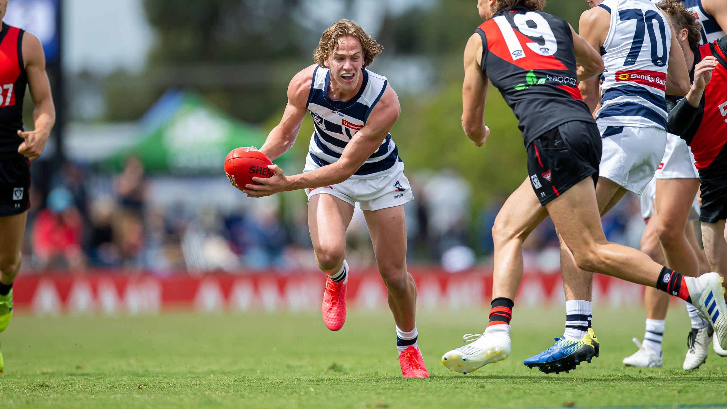 VFL Season Locked In