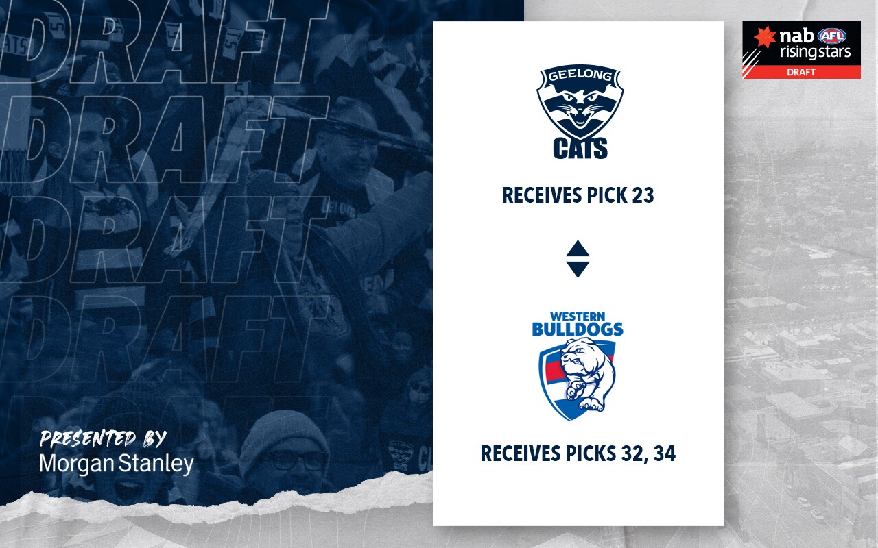 Cats Strengthen Draft Hand