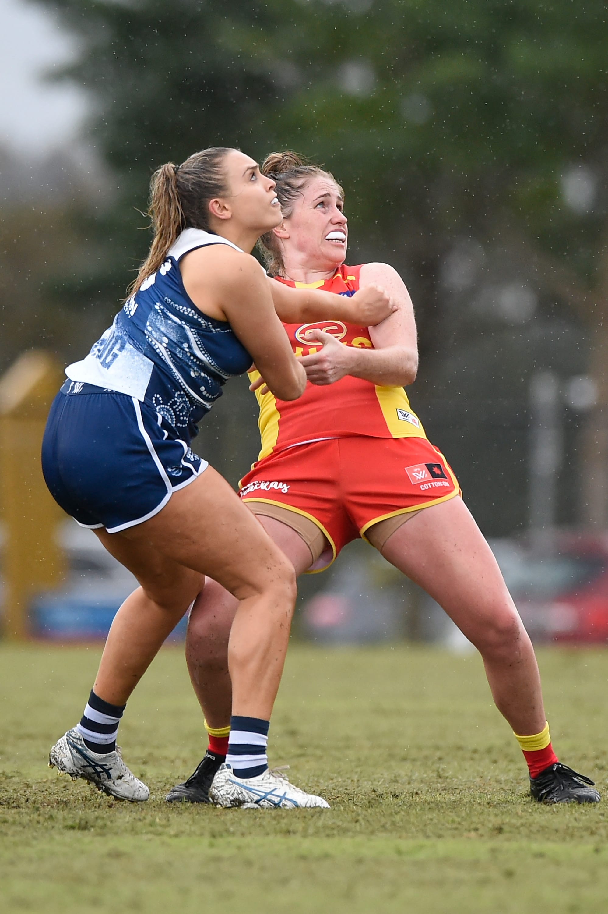 Making the switch: Cats dynamo takes on new role
