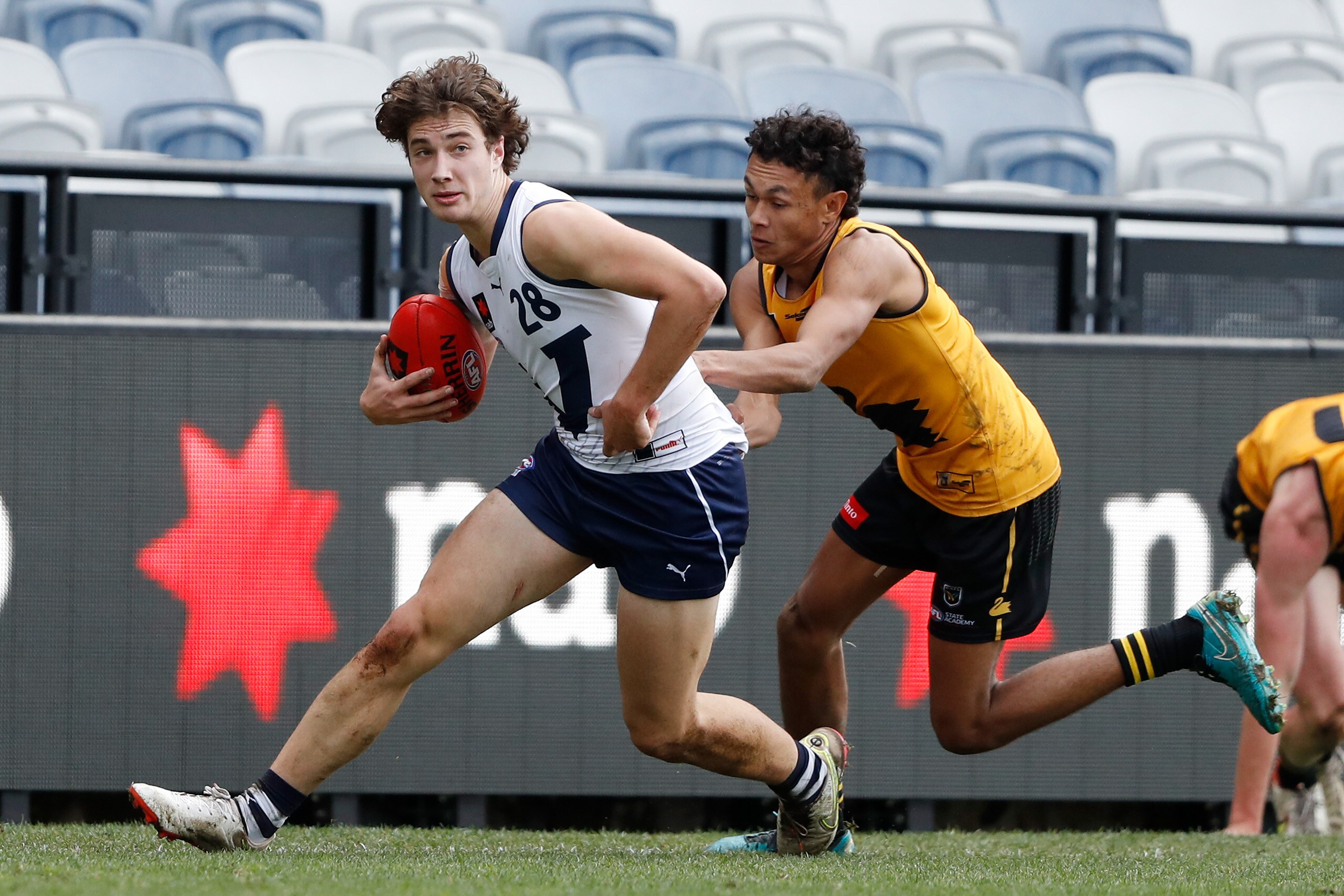 Cats Celebrate Strong Draft Period