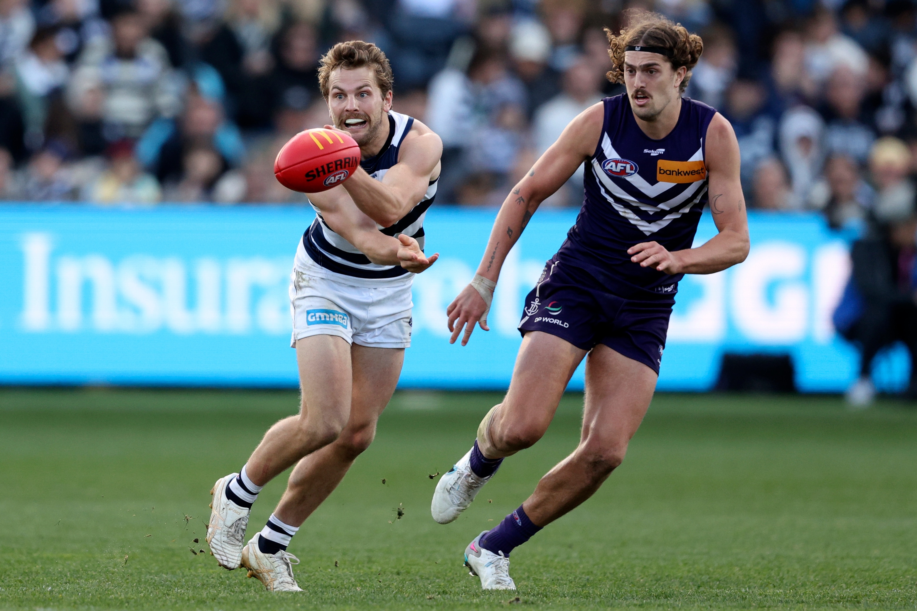 The First Look: Geelong v Fremantle at GMHBA Stadium