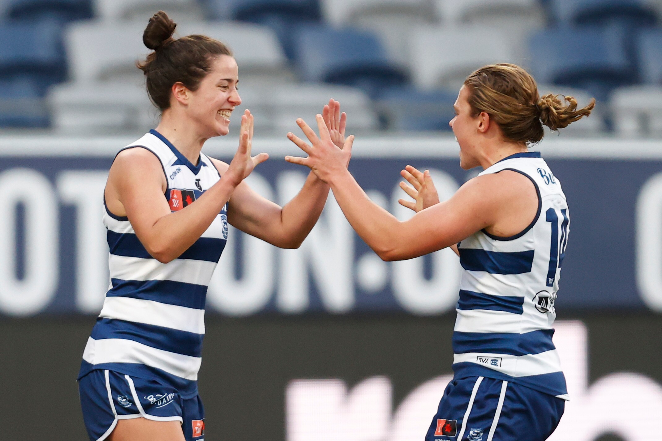 Slick Cats Put Dogs To The Sword In Impressive Season Opener