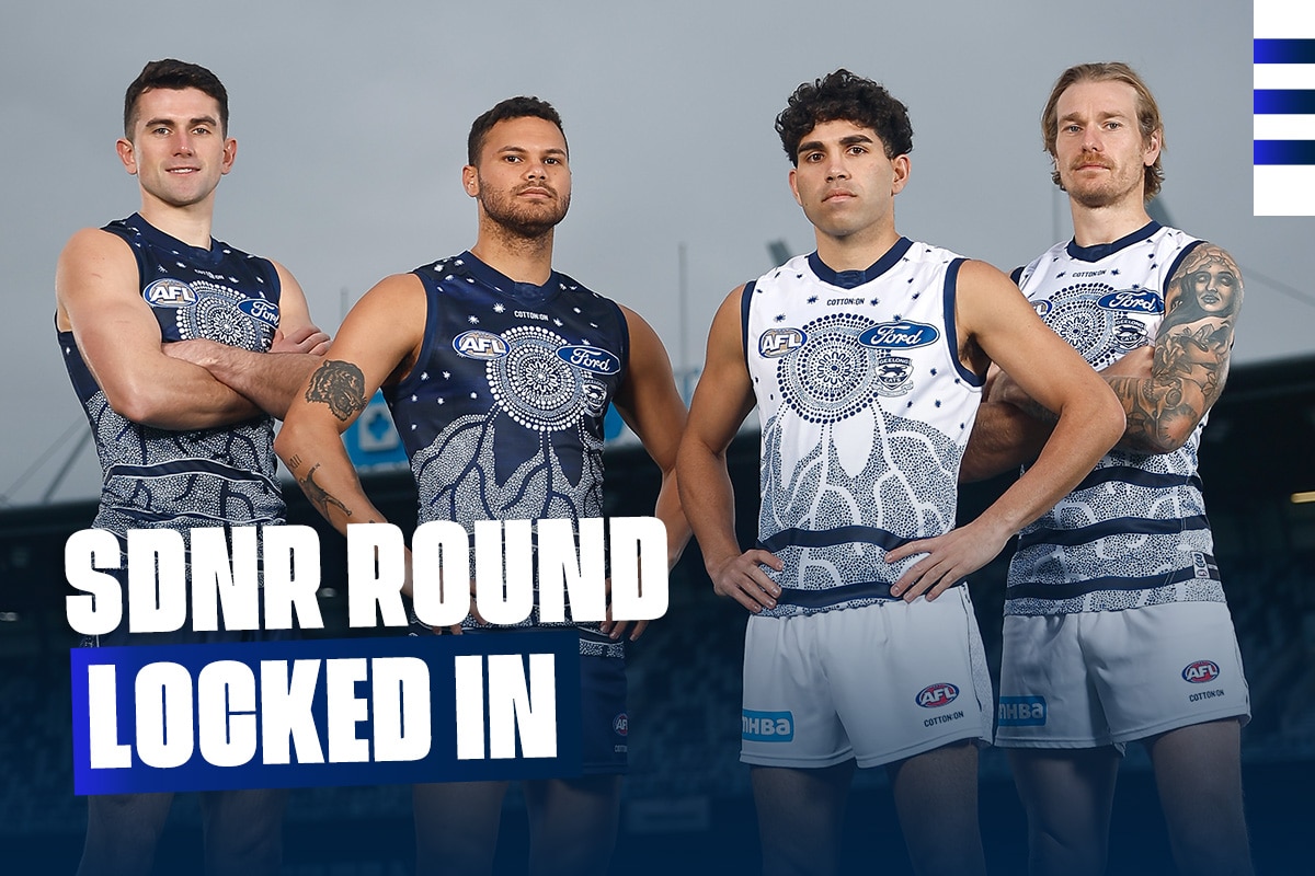 Cats To Play in Darwin in 2024