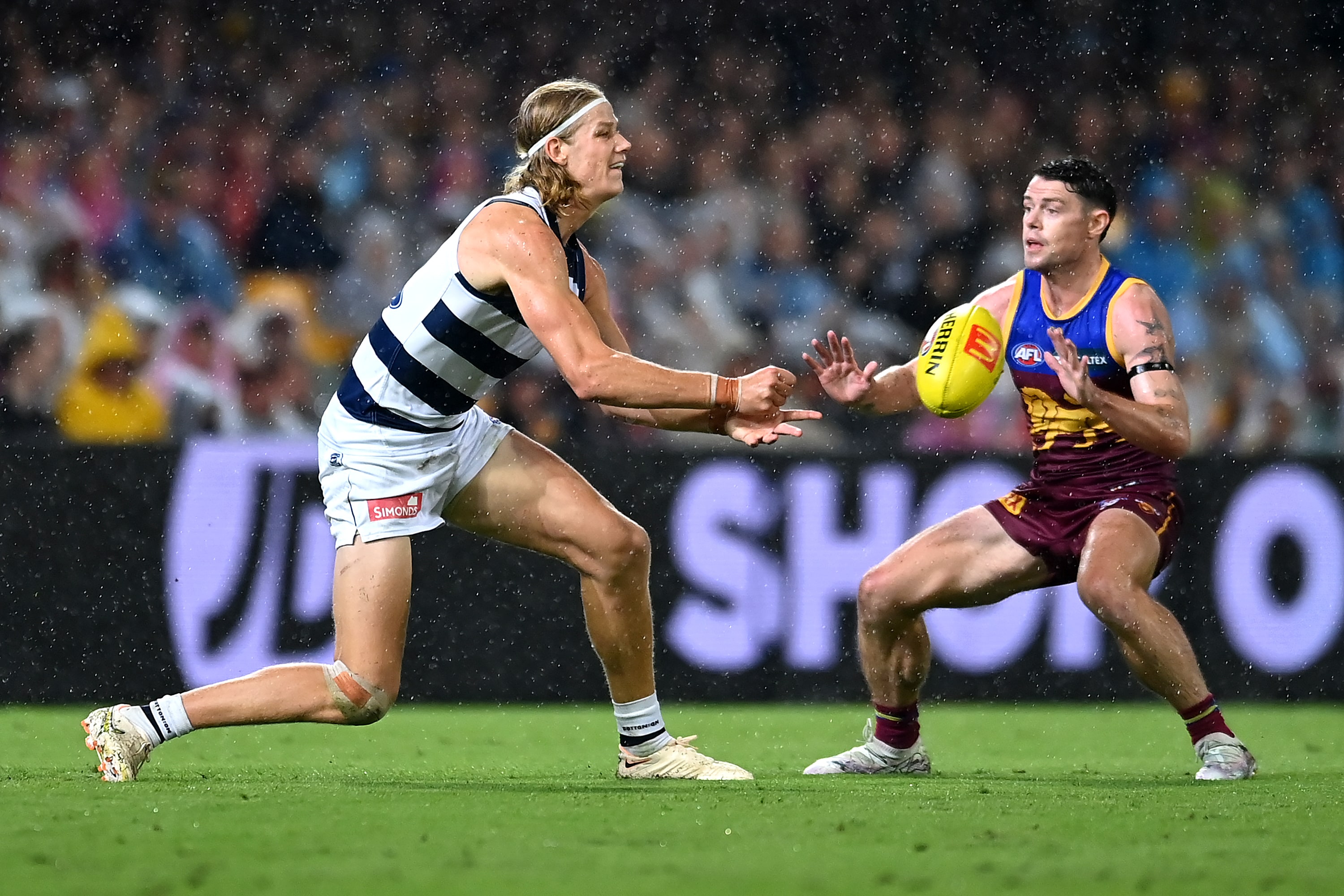 The Cats Milestone That Took His Coach By Surprise