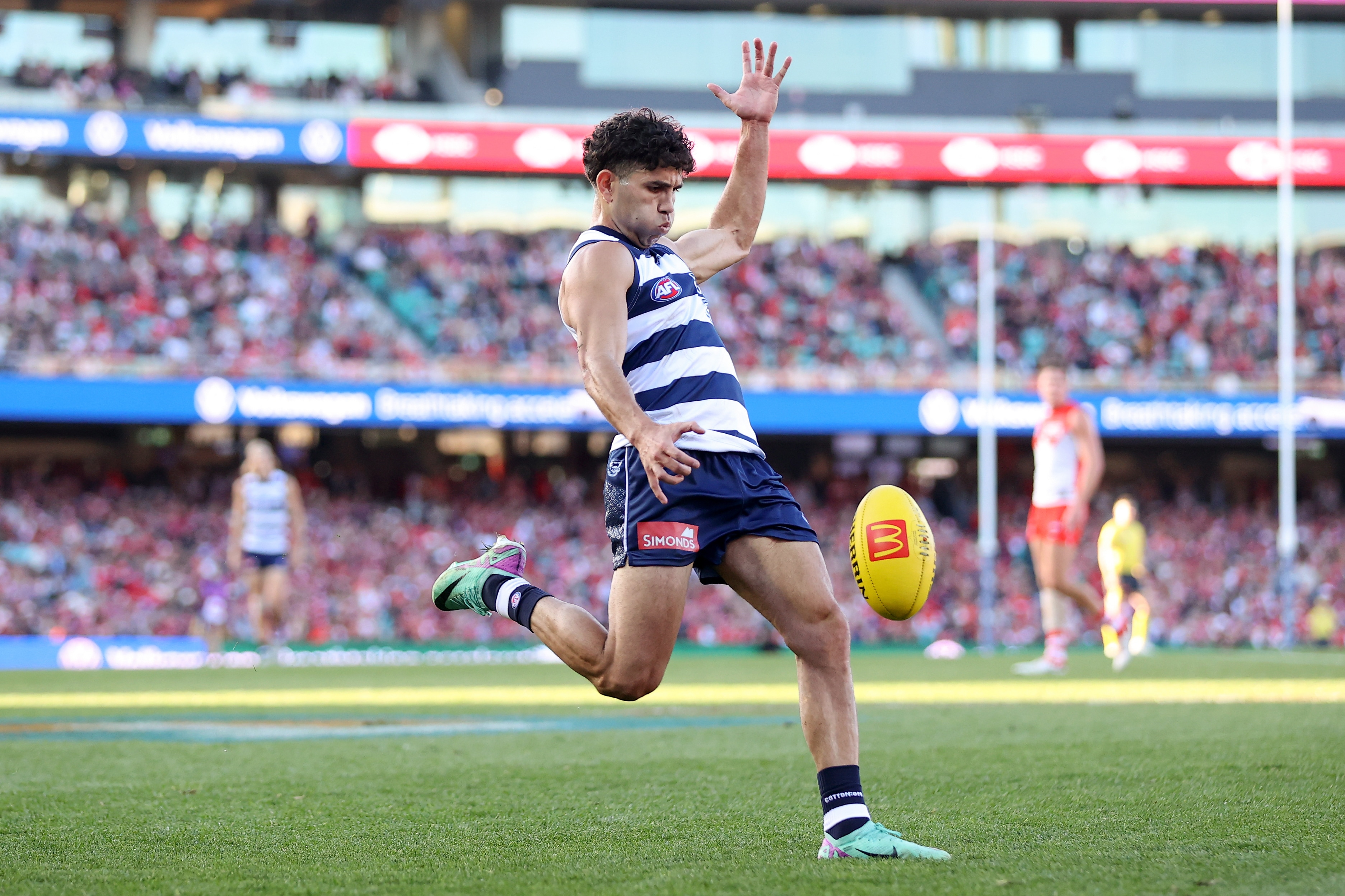 Silky Stengle flourishing in 2024