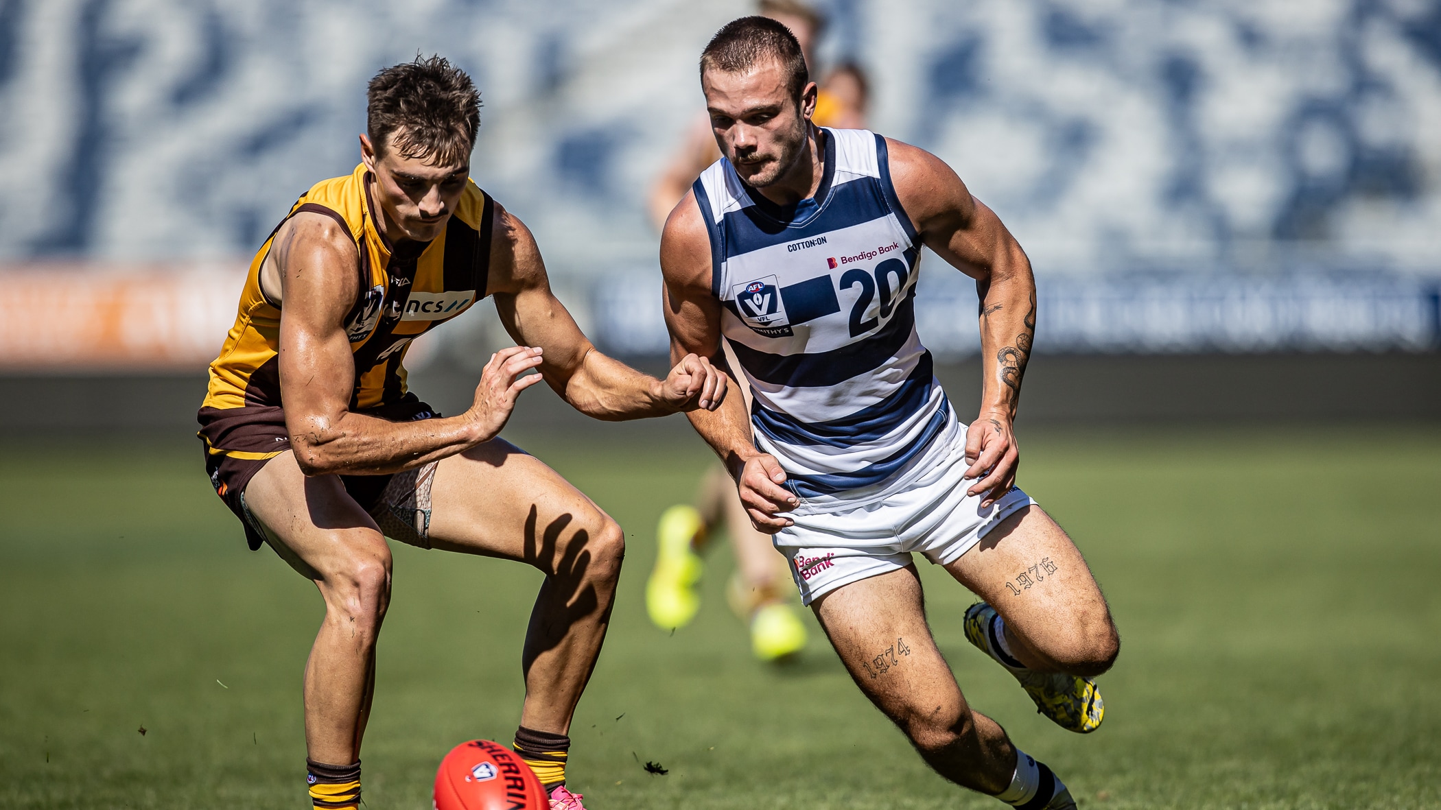 VFL Match Report | Cats Fall in Dramatic Finish
