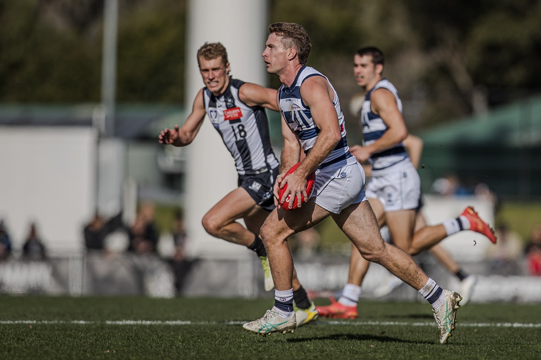 Round 17 VFL Preview | Geelong v Footscray Bulldogs