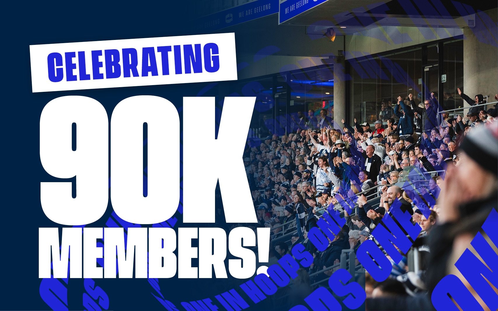 Cats surpass 90,000 members