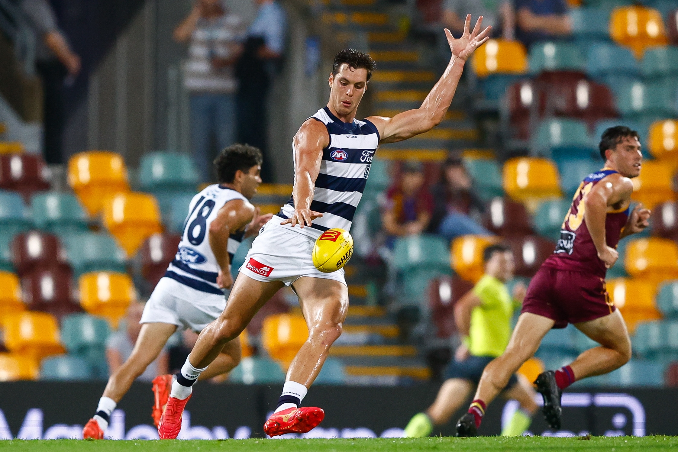 AFL Match Preview | A Heavyweight Bout at the Cattery