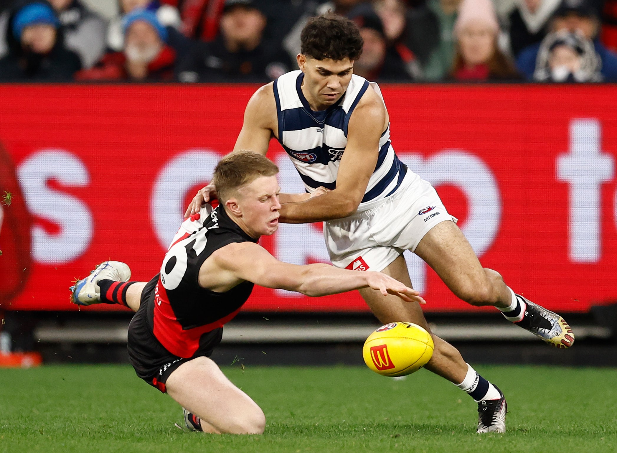 AFL Match Preview | Cats Host Dons Under Friday Night Lights