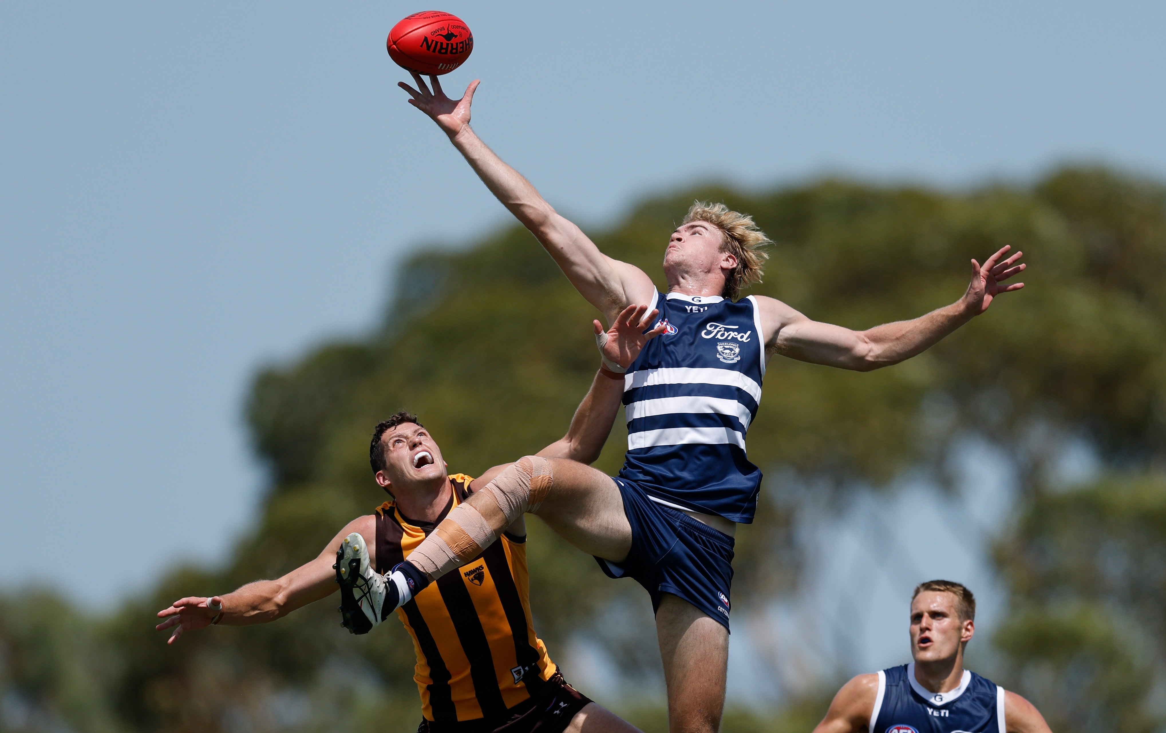 Future Bright for Edwards and Geelong's Next Generation
