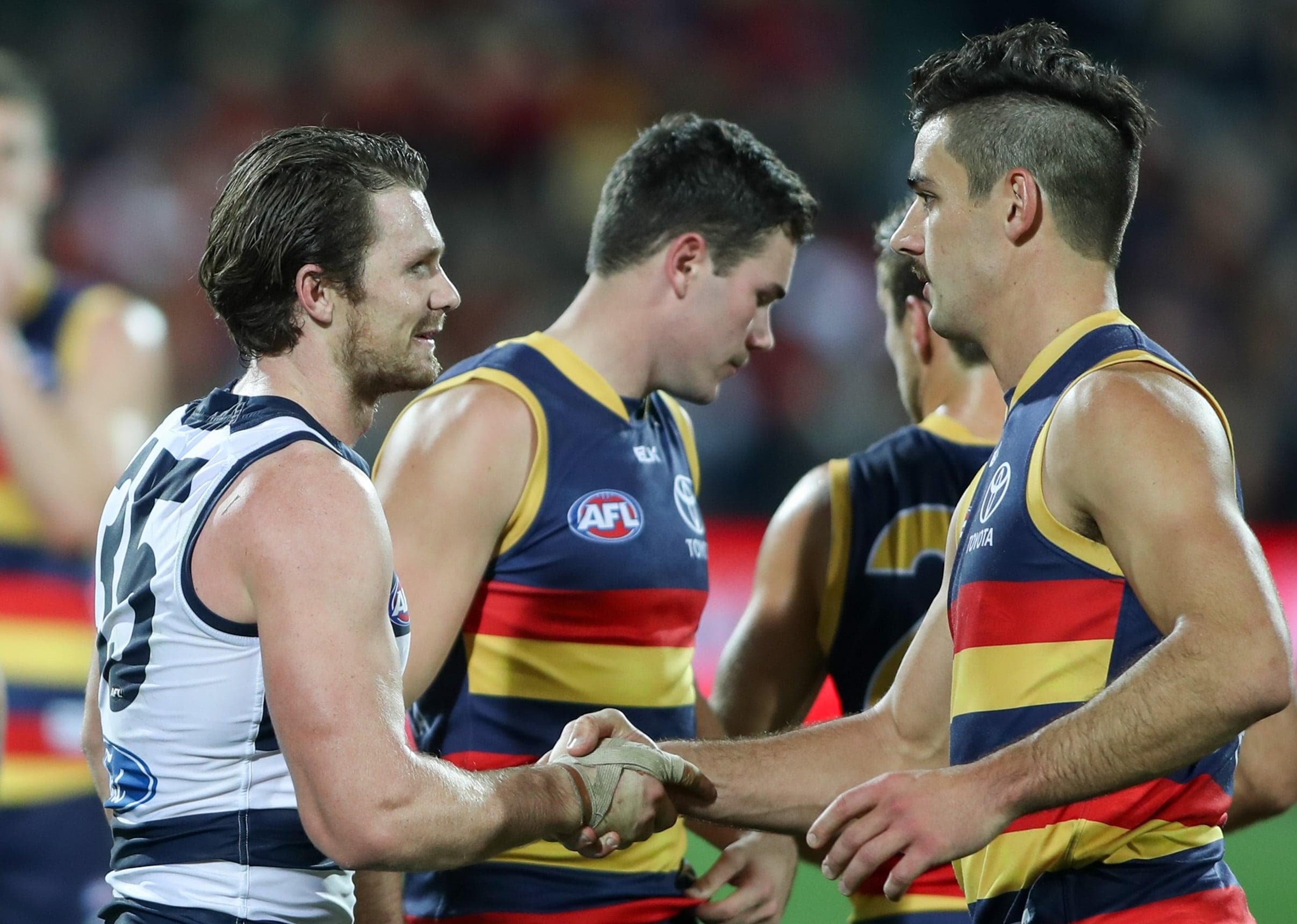 Time Cat-Sule | Danger's Grand Return as Cats Silence Crows