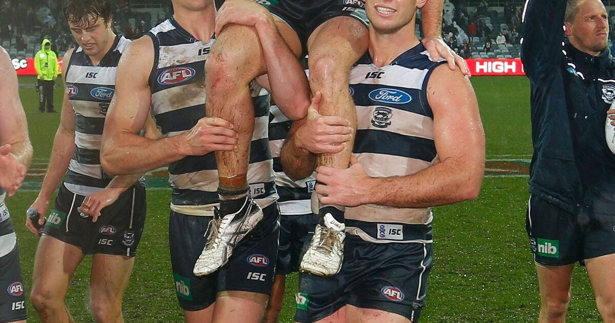 Harry says Hawk is flying