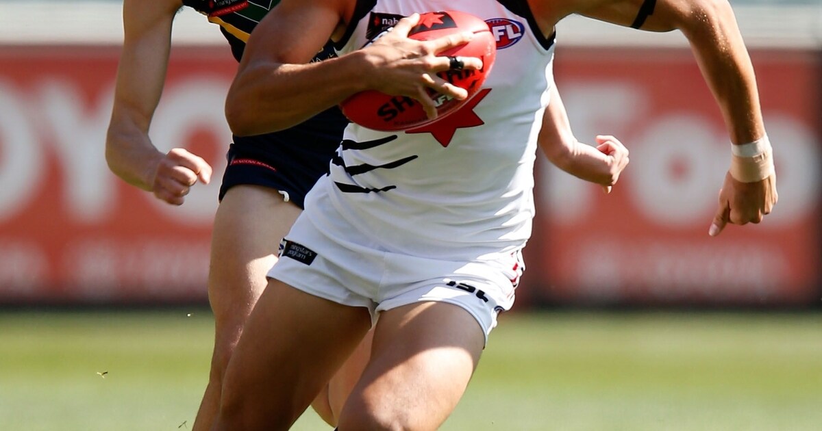 Pick 10: Cats take Nakia Cockatoo