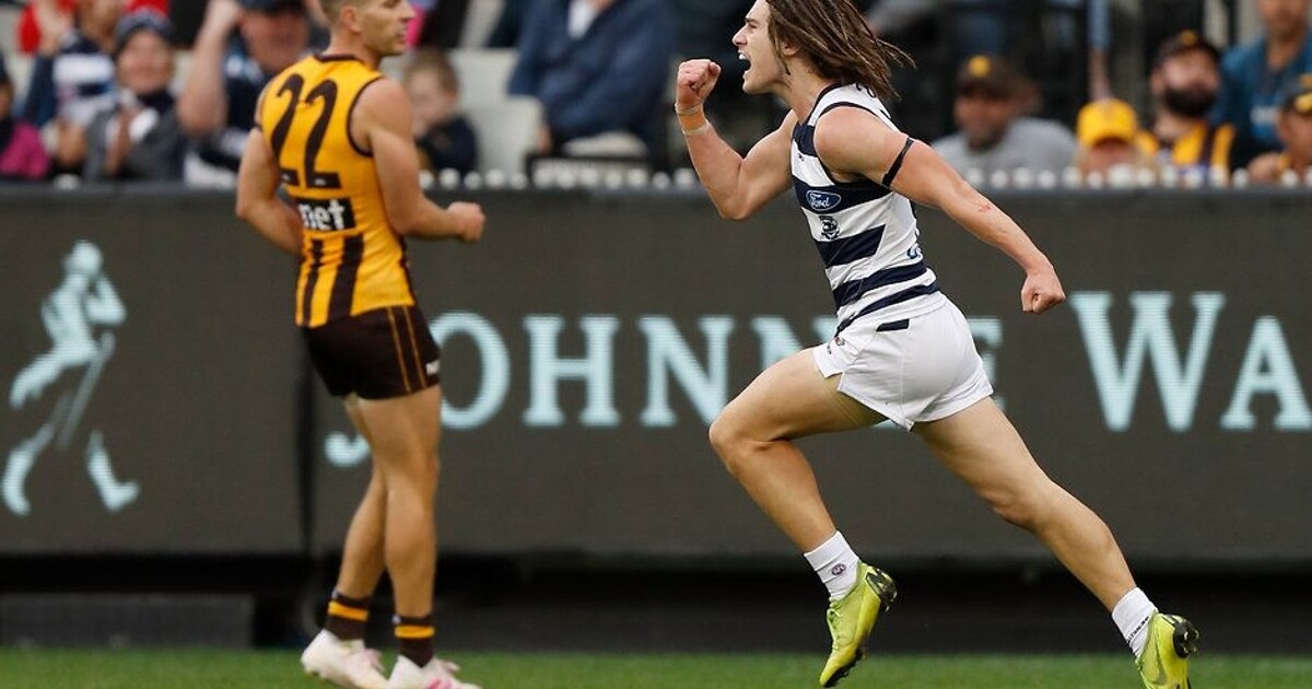 Gryan a ‘long-term gem’ according to Champion Data