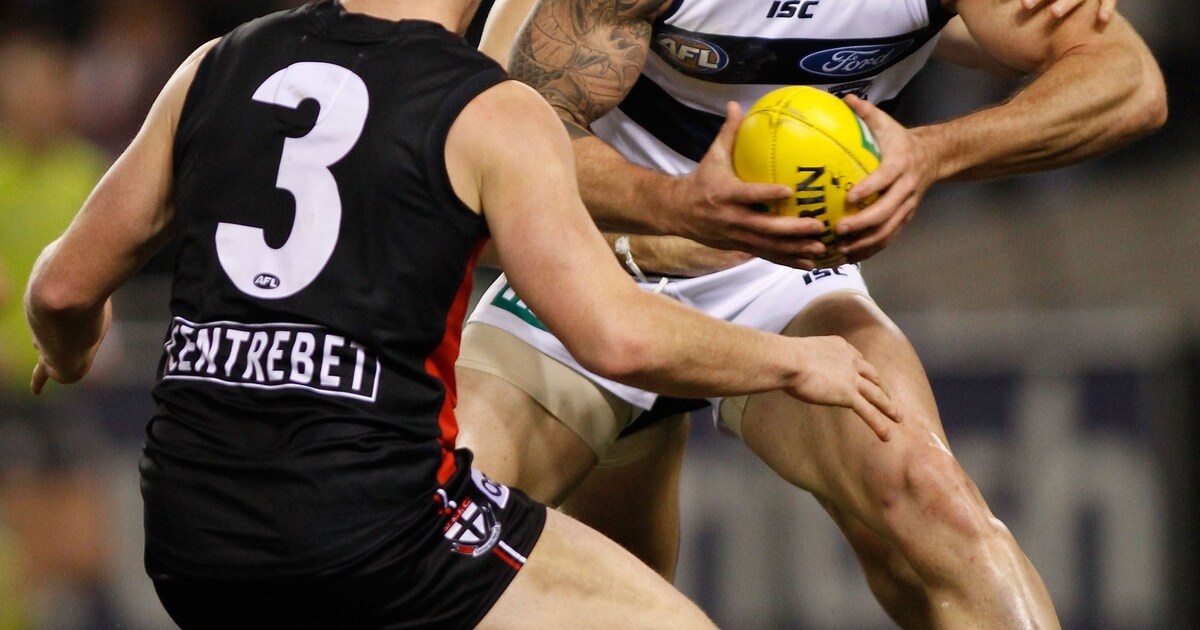 VFL: Key Cats return for Zebra clash