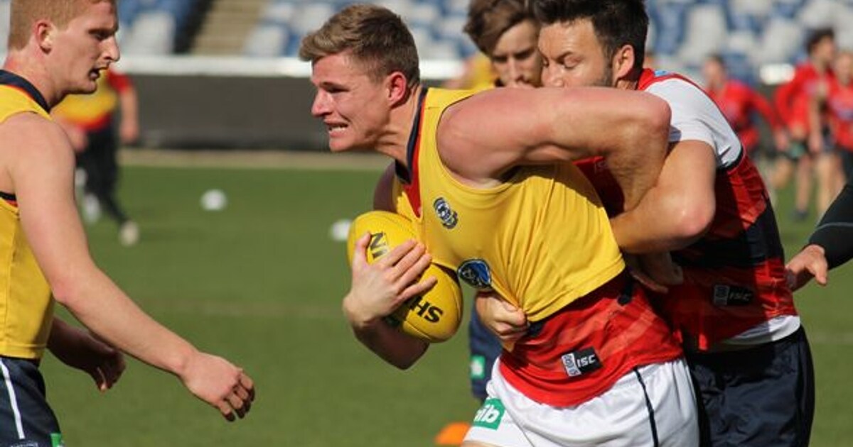 Gallery: Wednesday training