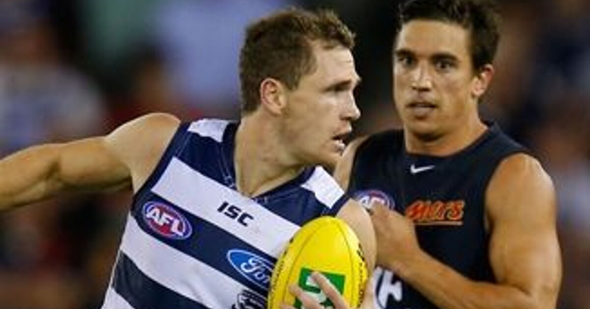 Big Names Back For Cats big-names-back-for-cats