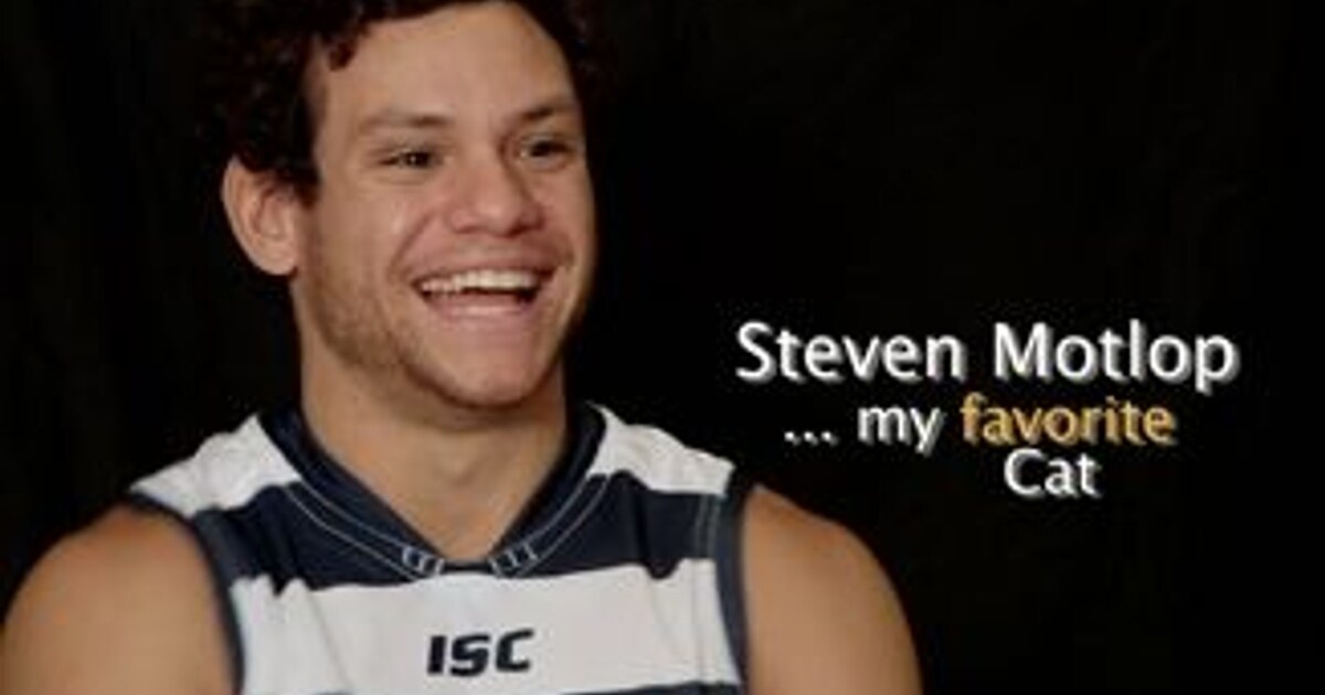 My Favourite Cat: Steven Motlop