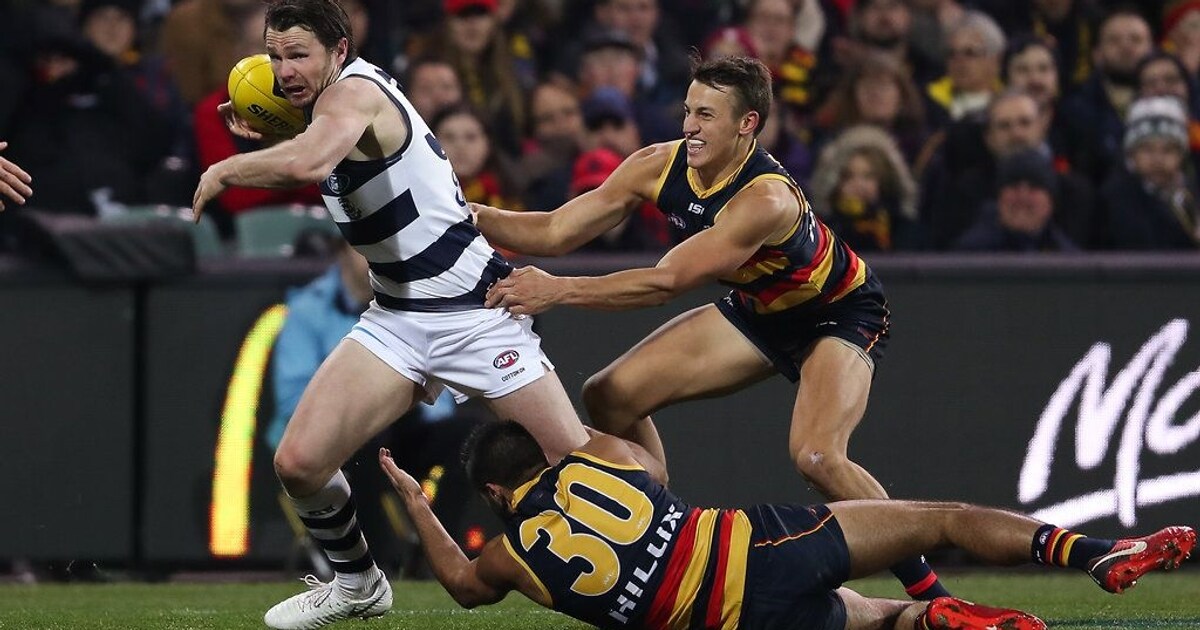 Cats v Crows Match Preview