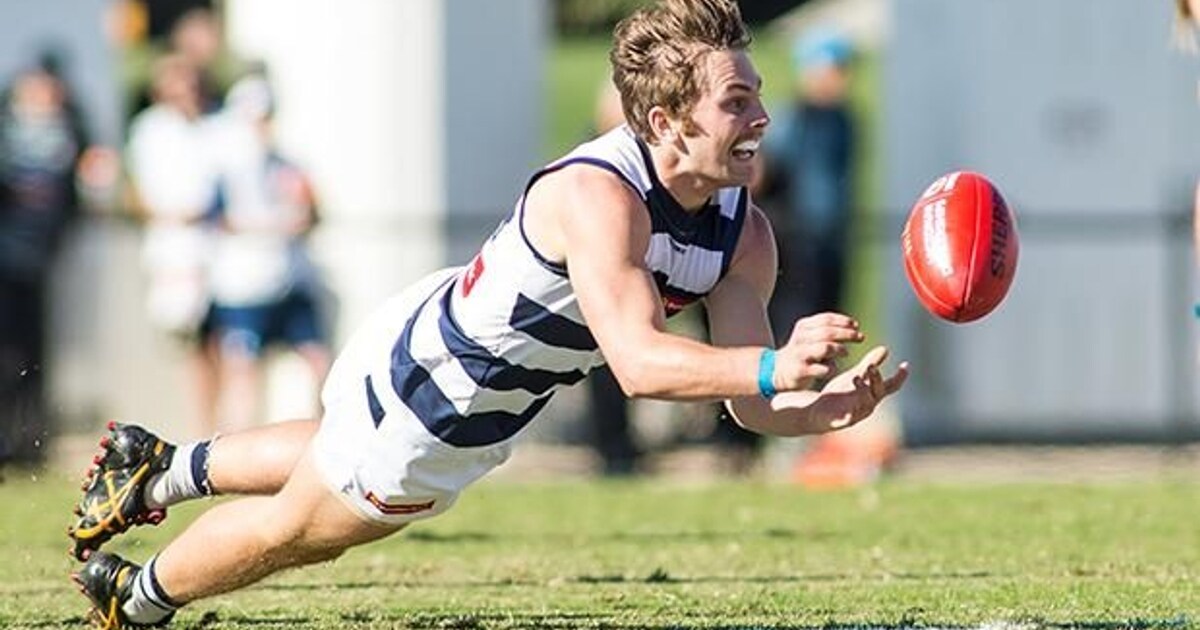 Geelong’s VFL Season So Far