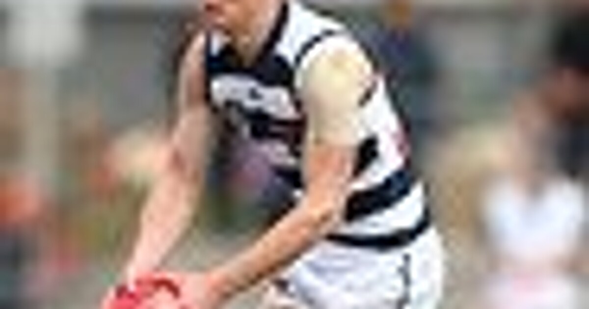 Hayball back in business