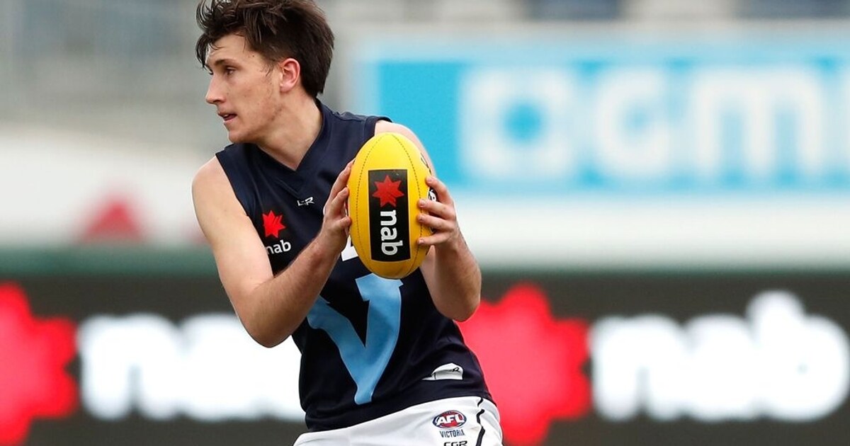 Charlie Constable highlights