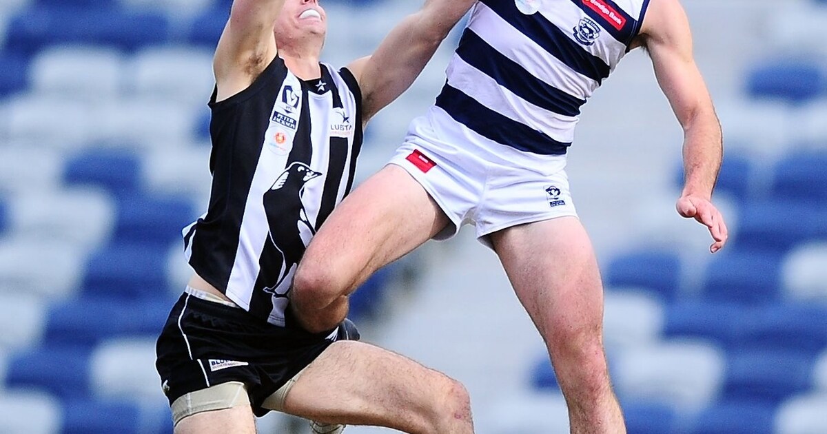 VFL Cats to make Channel 7 debut