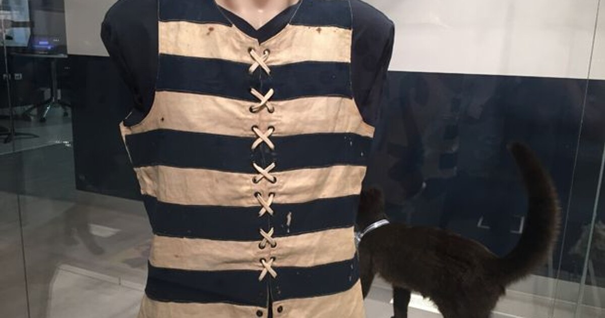 The Cats' history in 50 objects