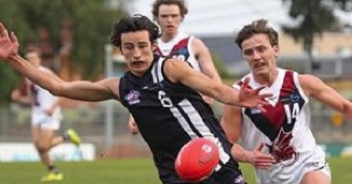 Sam Simpson rookie highlights