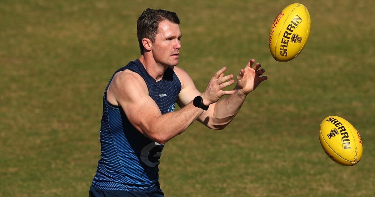 Geelong Cats Photo Galleries