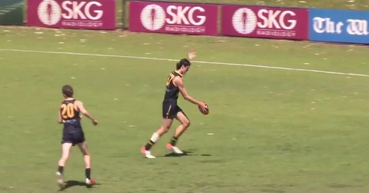 Shannon Neale Draft Highlights (Pick 33)