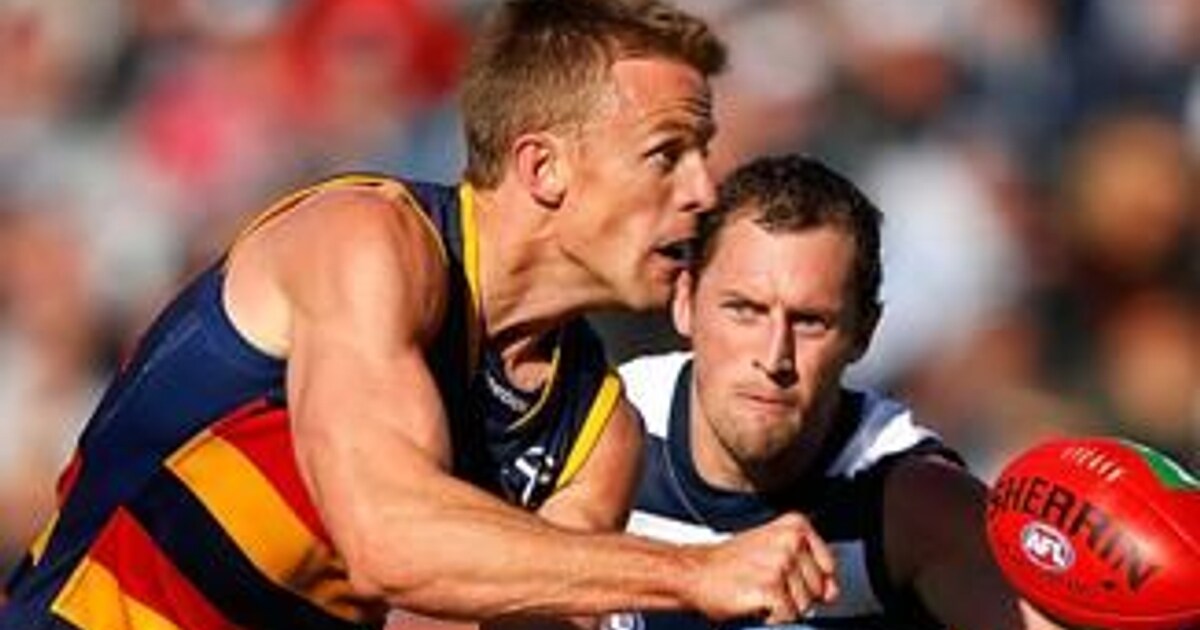 Preview: Cats vs Crows