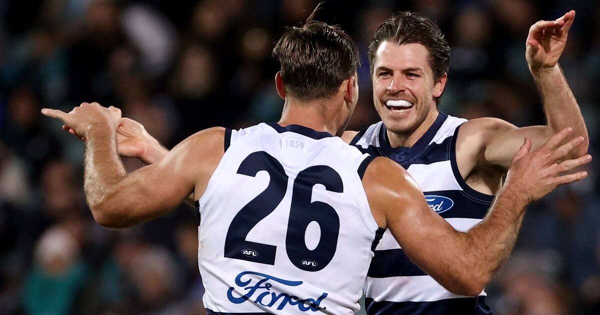 Two Cats Named In NSW State Of Origin Team two-cats-named-in-nsw-state-of-origin-team