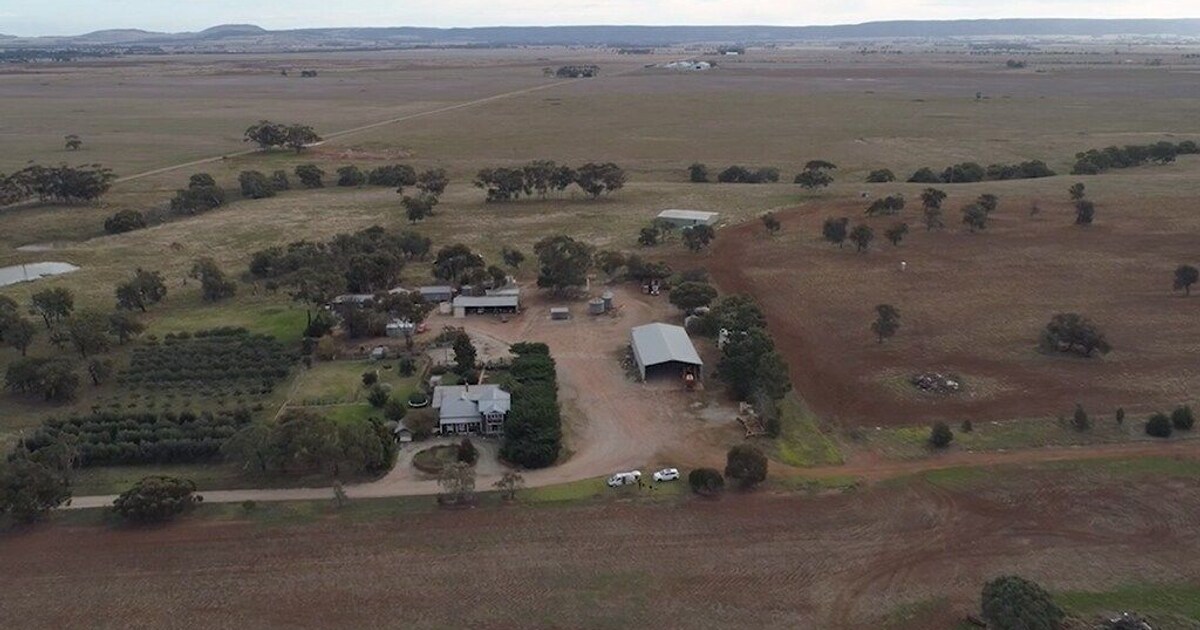 True Country: Sharkey Farm