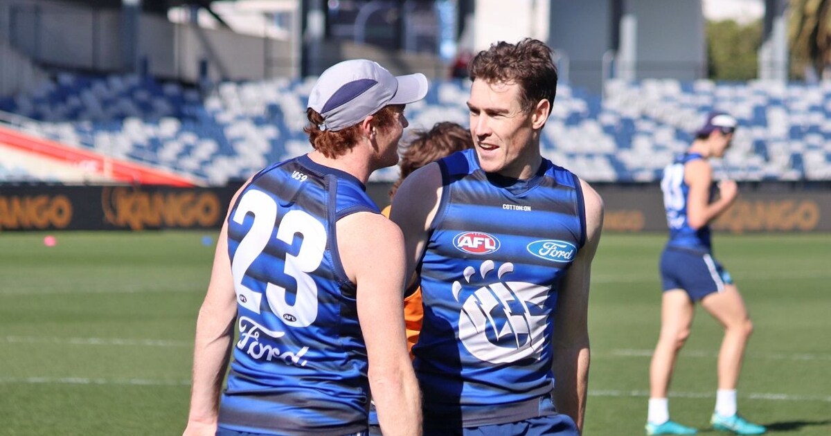 Injury Update: Round 22