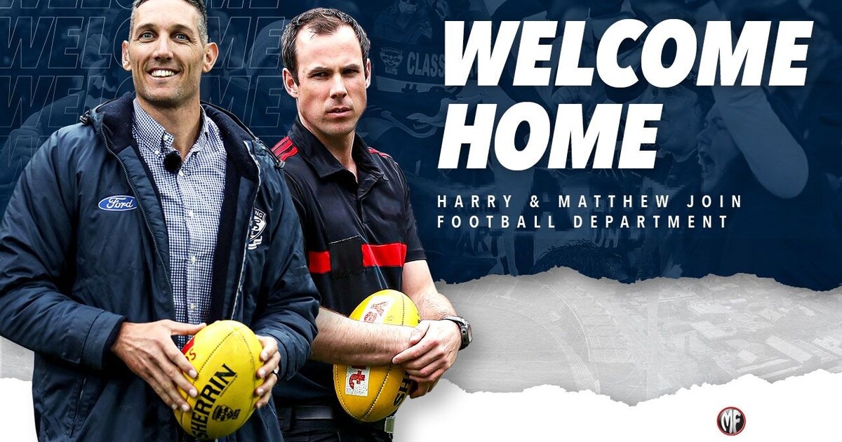 Taylor, Egan Rejoin Cats