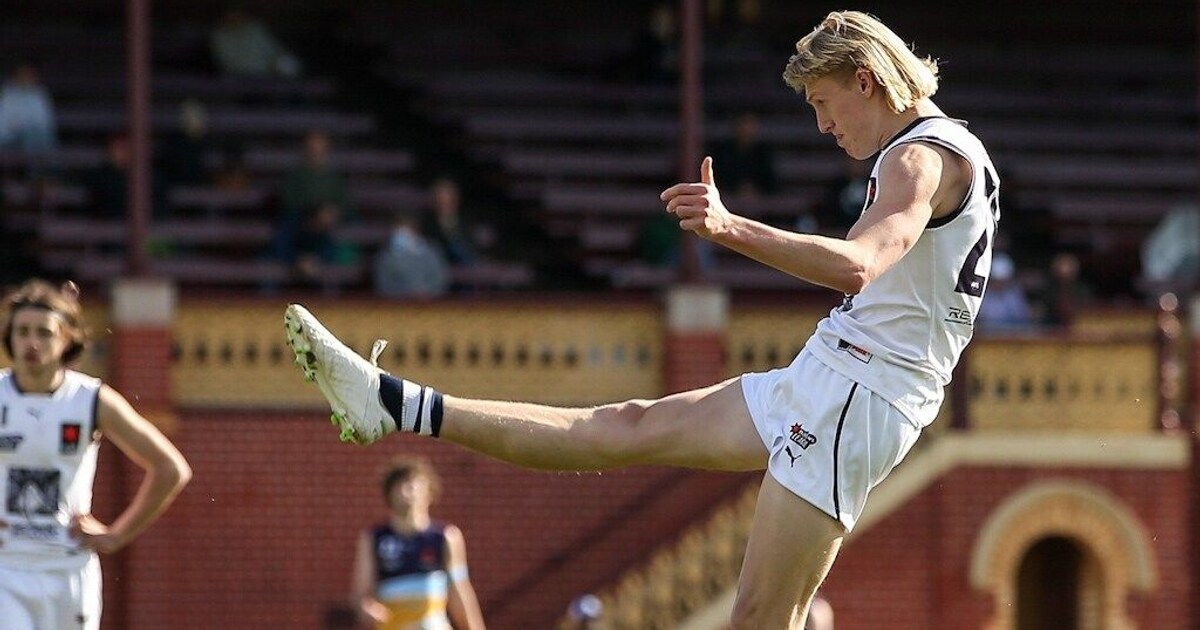 Mitch Knevitt Highlights