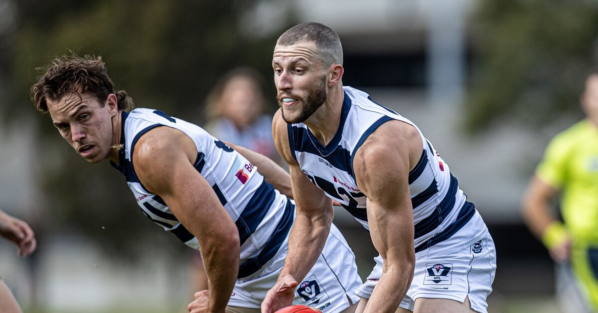 Menegola Building Back