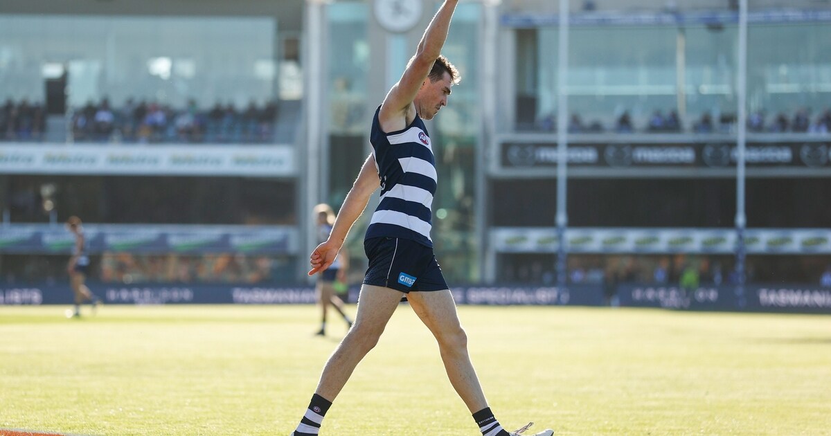 Venue History | Geelong at Blundstone Arena