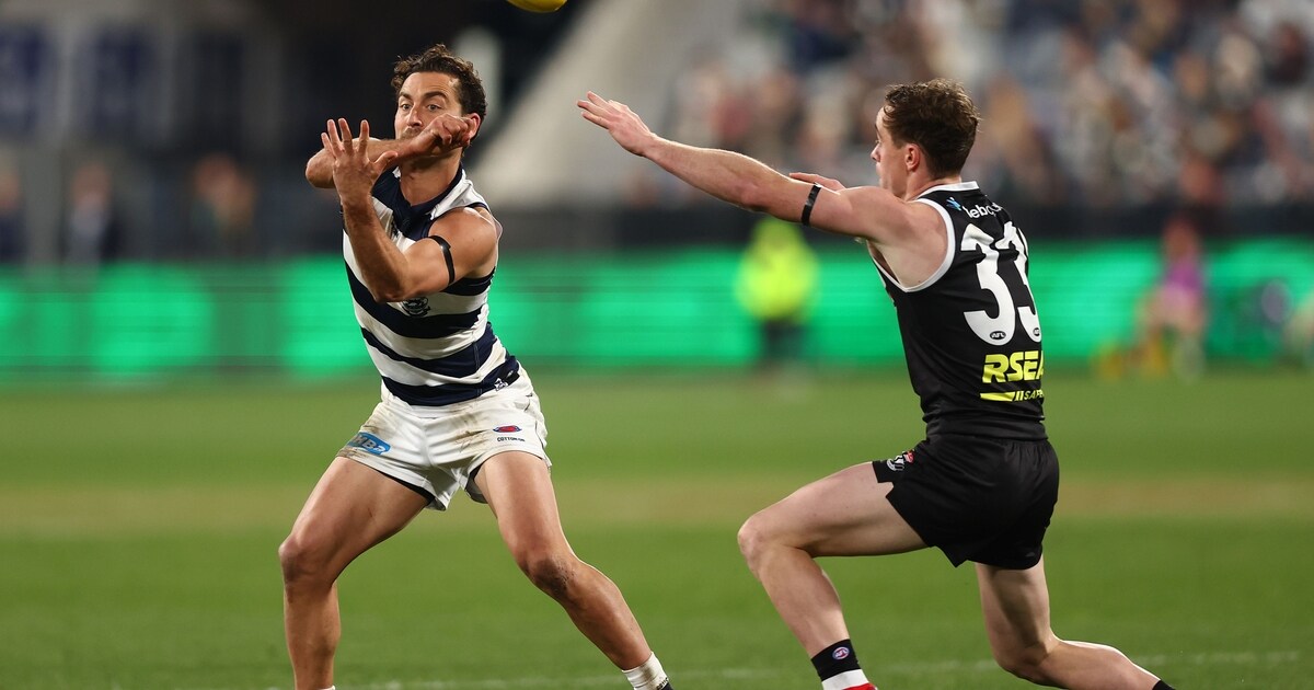 Connected Cats Keep on Keeping On