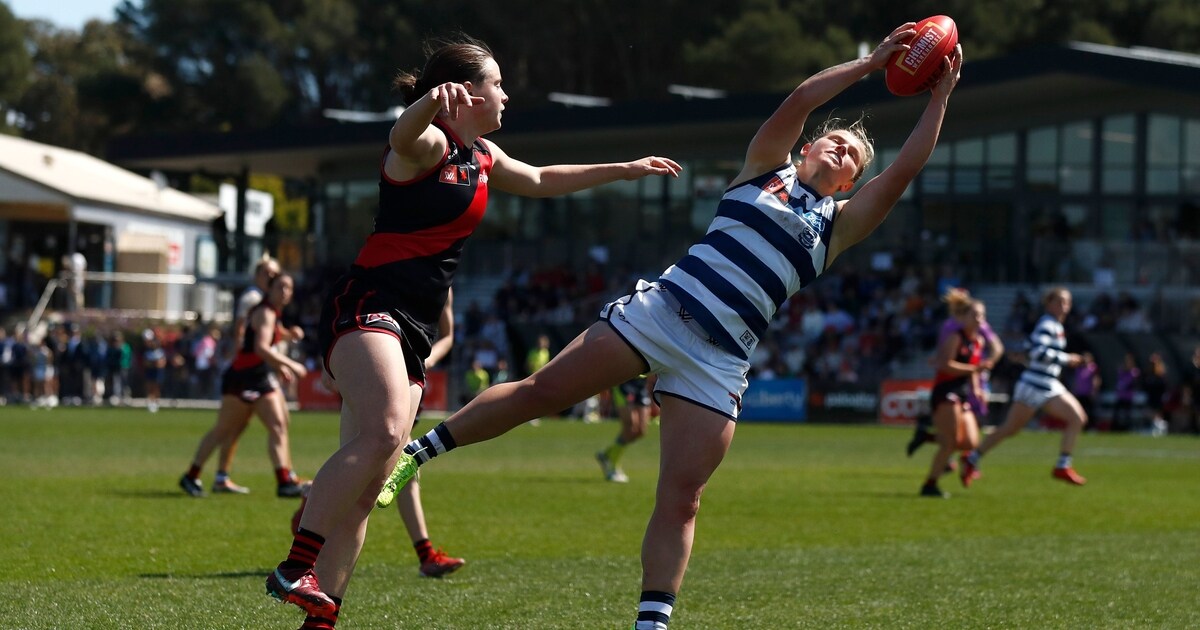 MVP Scheer the Fans' Choice