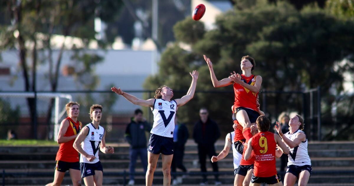 Phoenix Foster Highlights