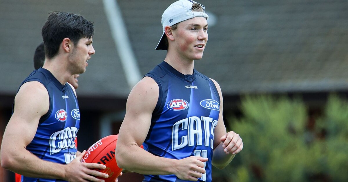 New Cats Get Their Numbers